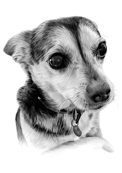 MCB Pencil Portraits Reviews 2024 | Trustindex.io