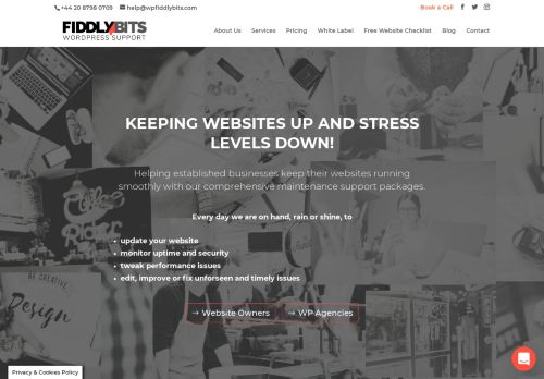 WP Fiddly Bits समीक्षा 2023 | Trustindex.io