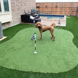 Prime Design Turf समीक्षा 2024 | Trustindex.io