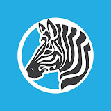 CEBRA - Arte Digital Reviews 2025 | Trustindex.io