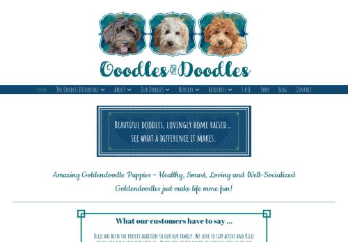 Ooodles of Doodles Reviews 2026 | Trustindex.io - Trustindex.io