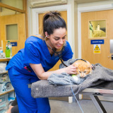 Tameside Veterinary Clinic, Ashton-Under-Lyne Reviews 2025 | Trustindex ...