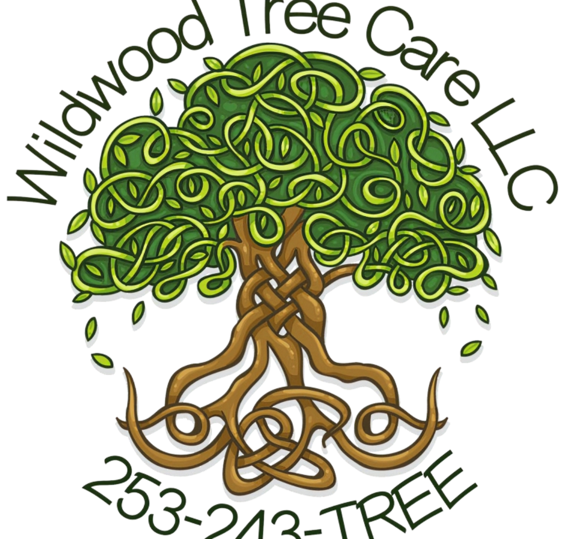 Wildwood Tree Care Reviews 2026 | Trustindex.io - Trustindex.io